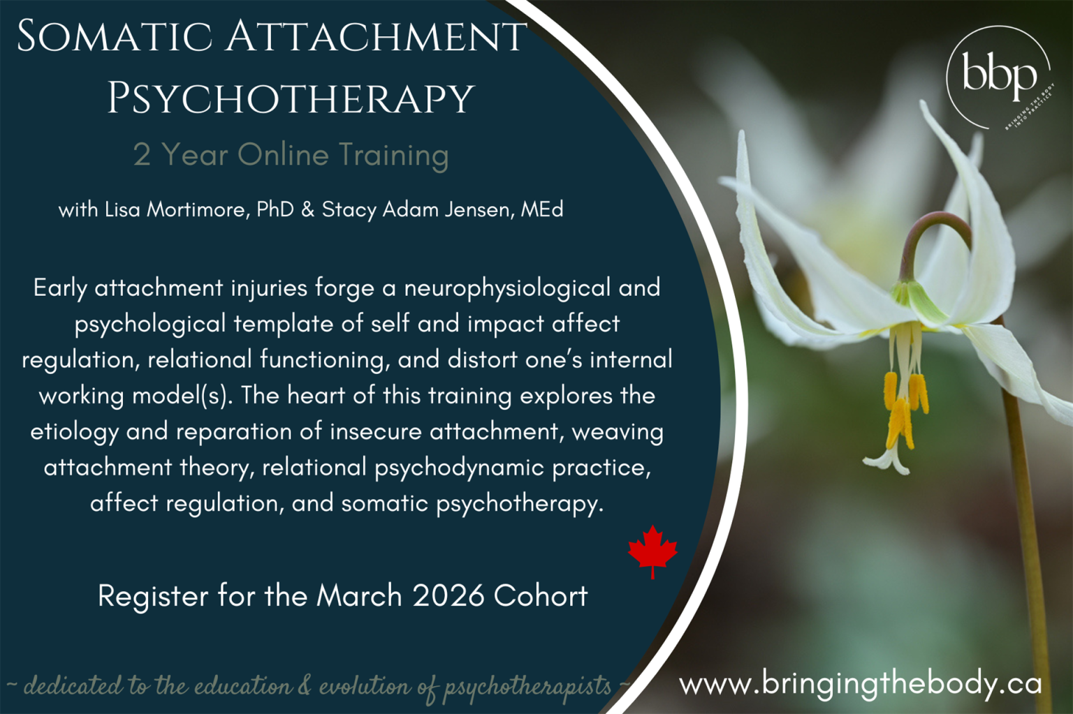 Somatic Attachment Psychotherapy (March 2026) - Manitoba Psychological ...